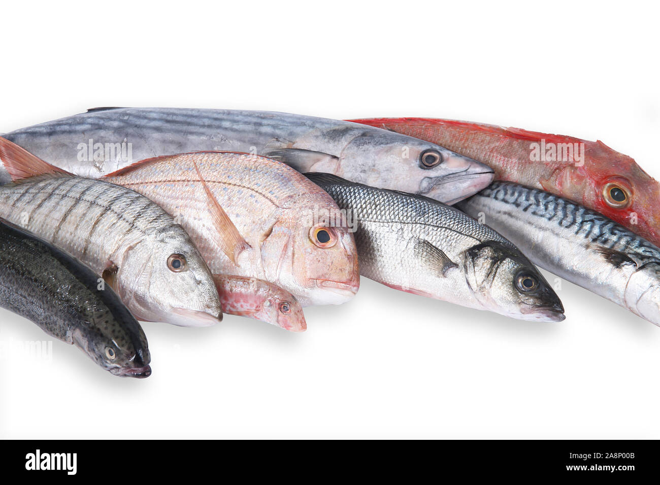 fresh fish collage on white background Stock Photo - Alamy