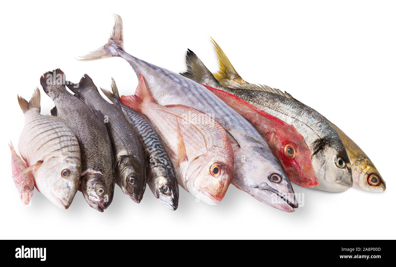 fresh fish collage on white background Stock Photo - Alamy