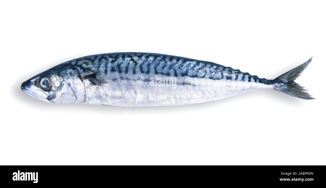 Example tail Cut Out Stock Images & Pictures - Alamy