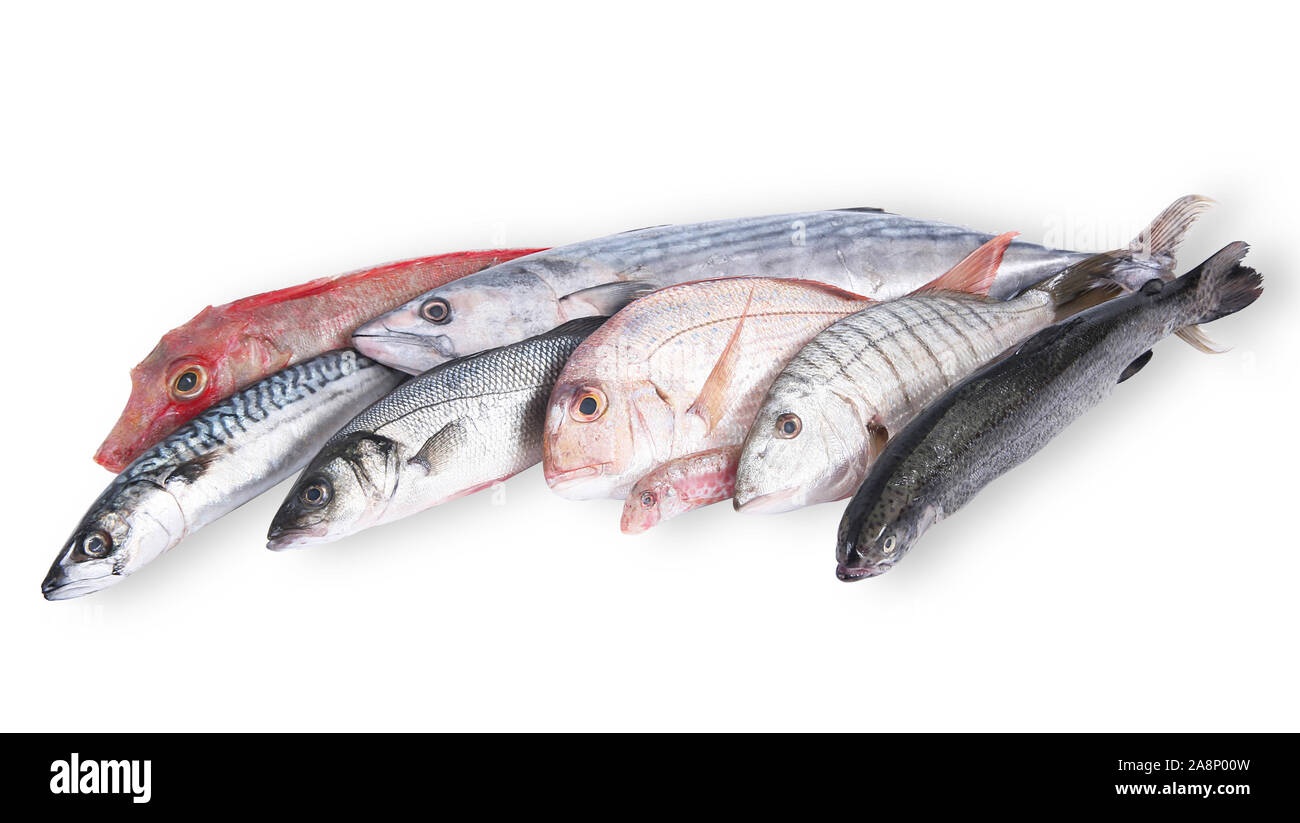 fresh fish collage on white background Stock Photo - Alamy