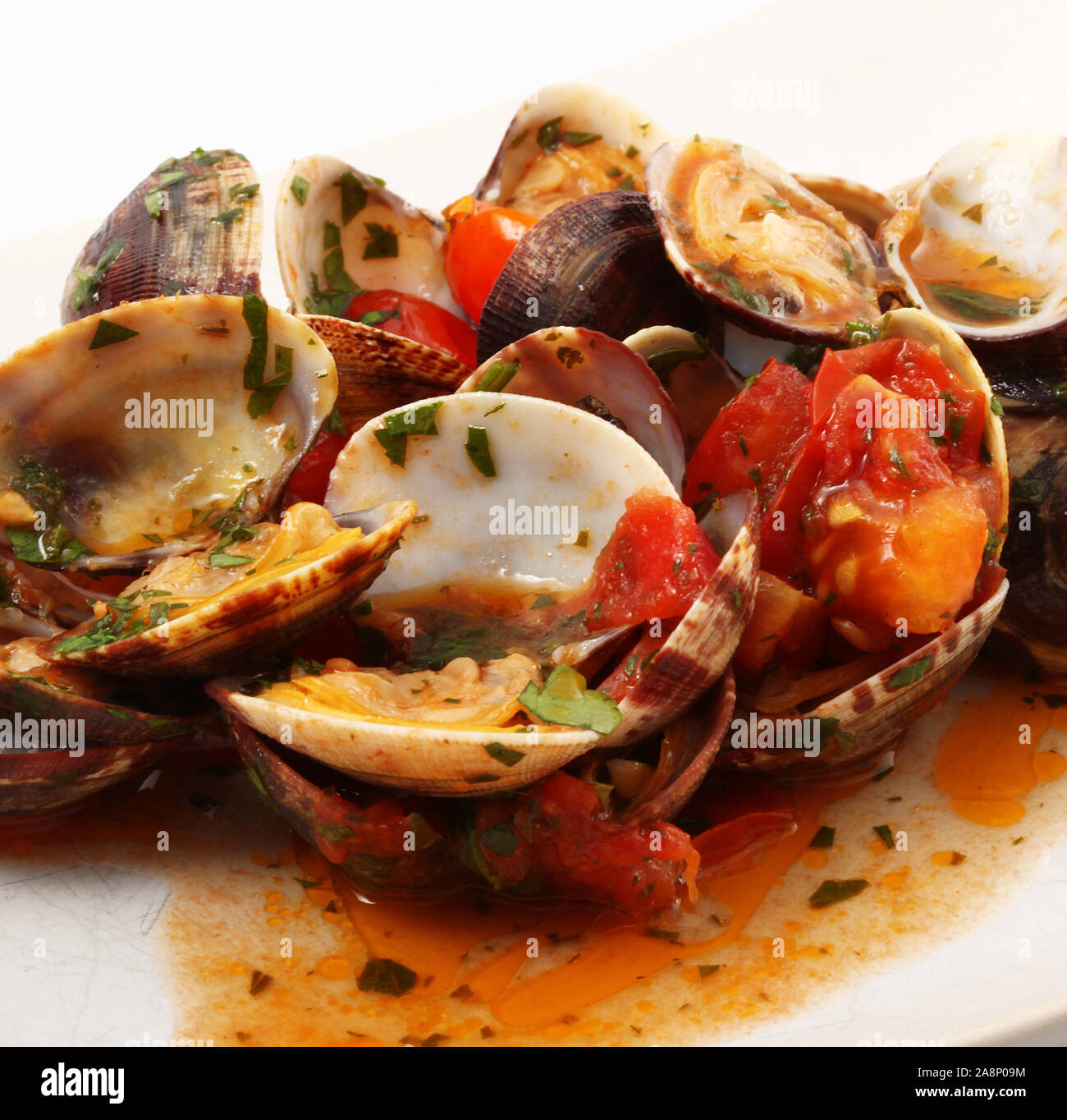 isolated clams dish on white background Stock Photo - Alamy