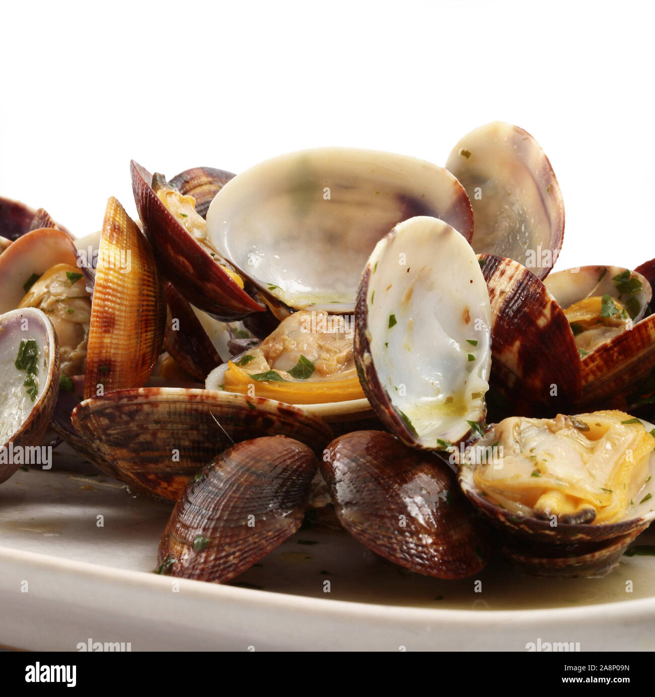 isolated clams dish on white background Stock Photo - Alamy