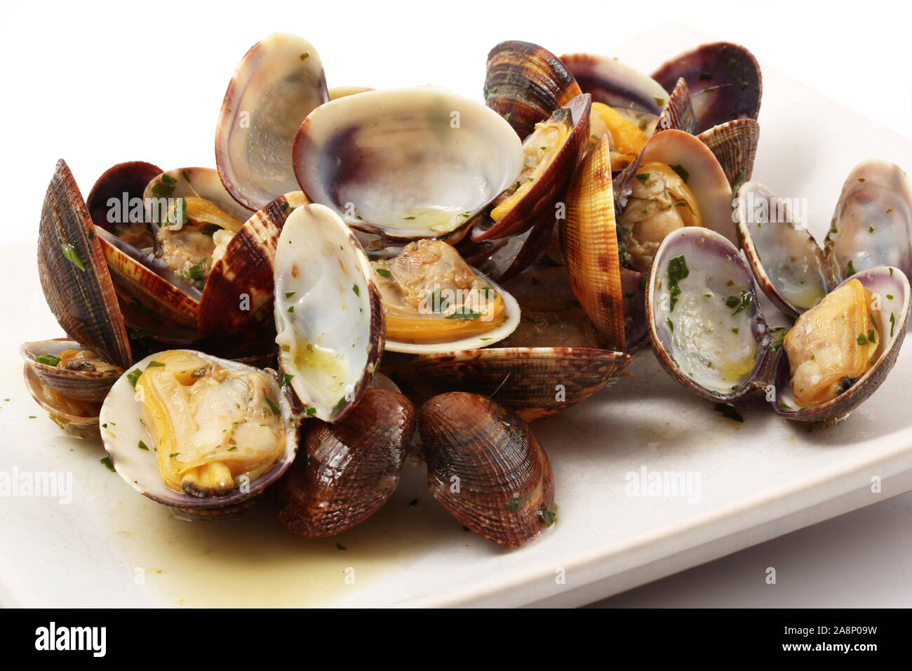 isolated clams dish on white background Stock Photo - Alamy