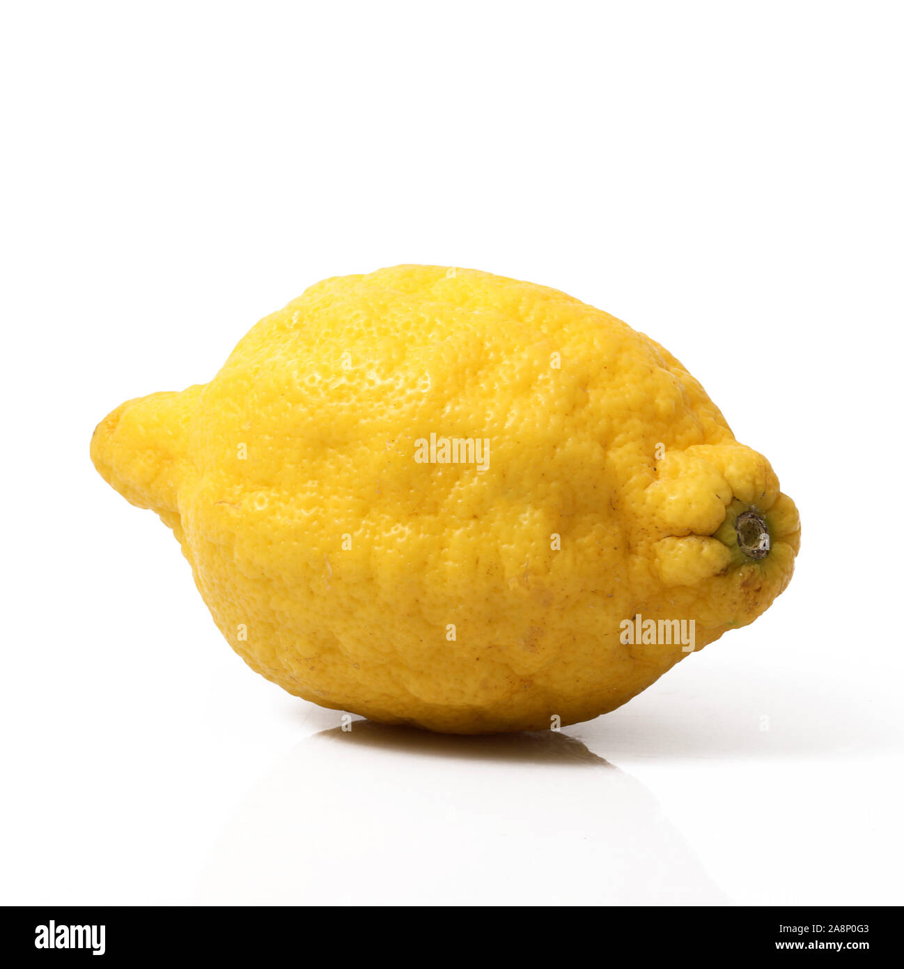 original lemon of Sorrento on white background Stock Photo - Alamy