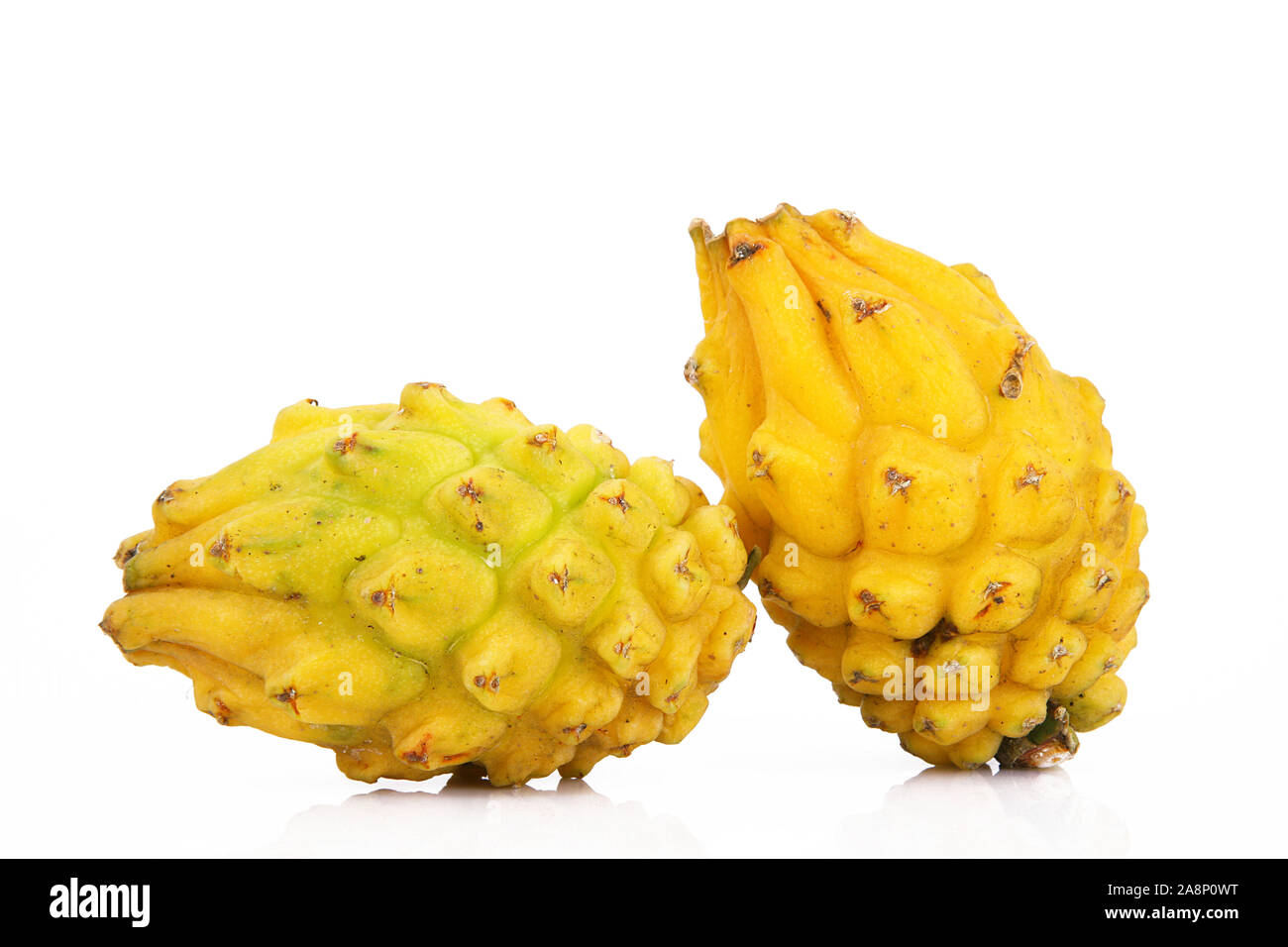 fresh yellow pitaya on white background Stock Photo - Alamy