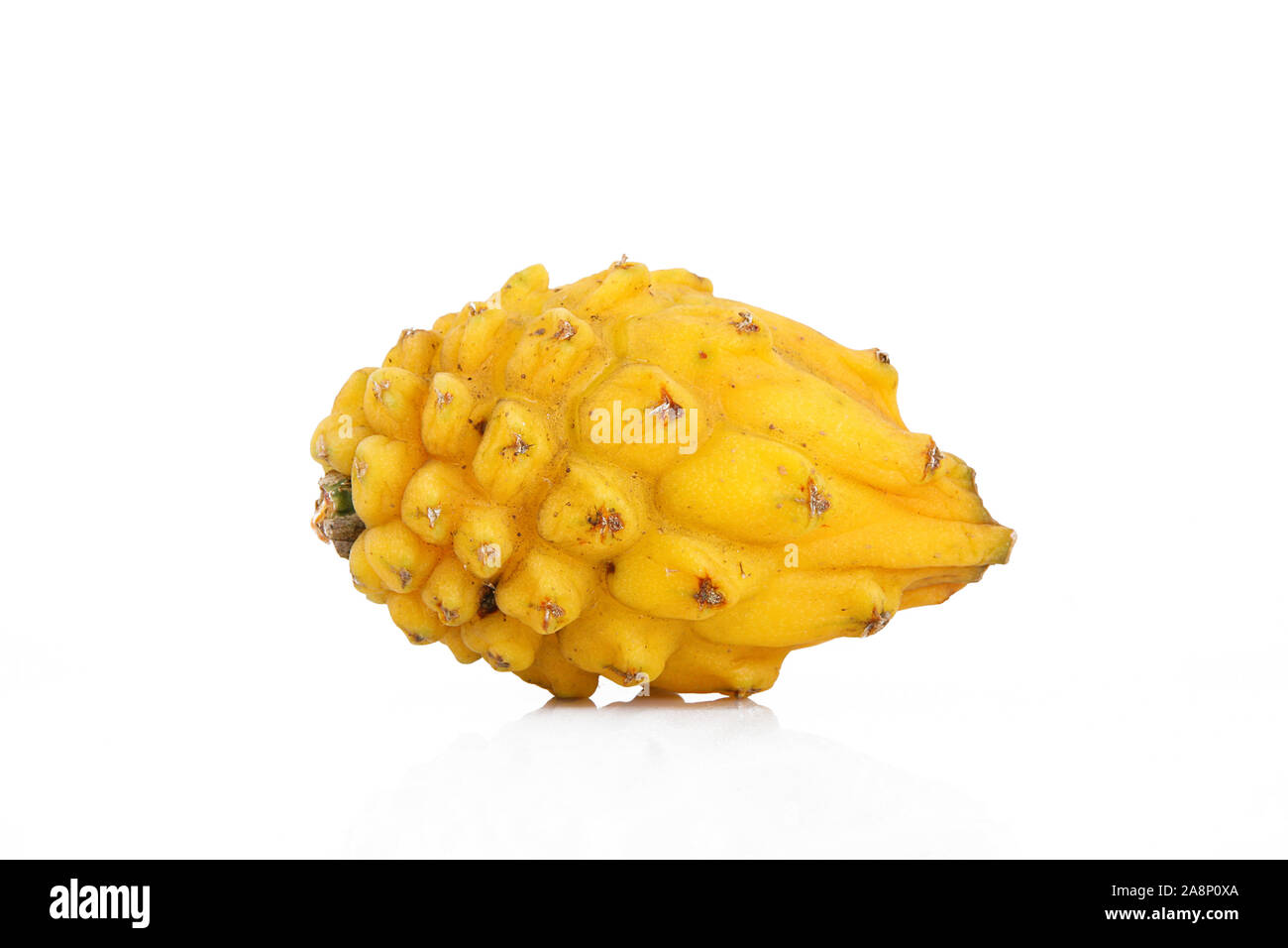 fresh yellow pitaya on white background Stock Photo - Alamy