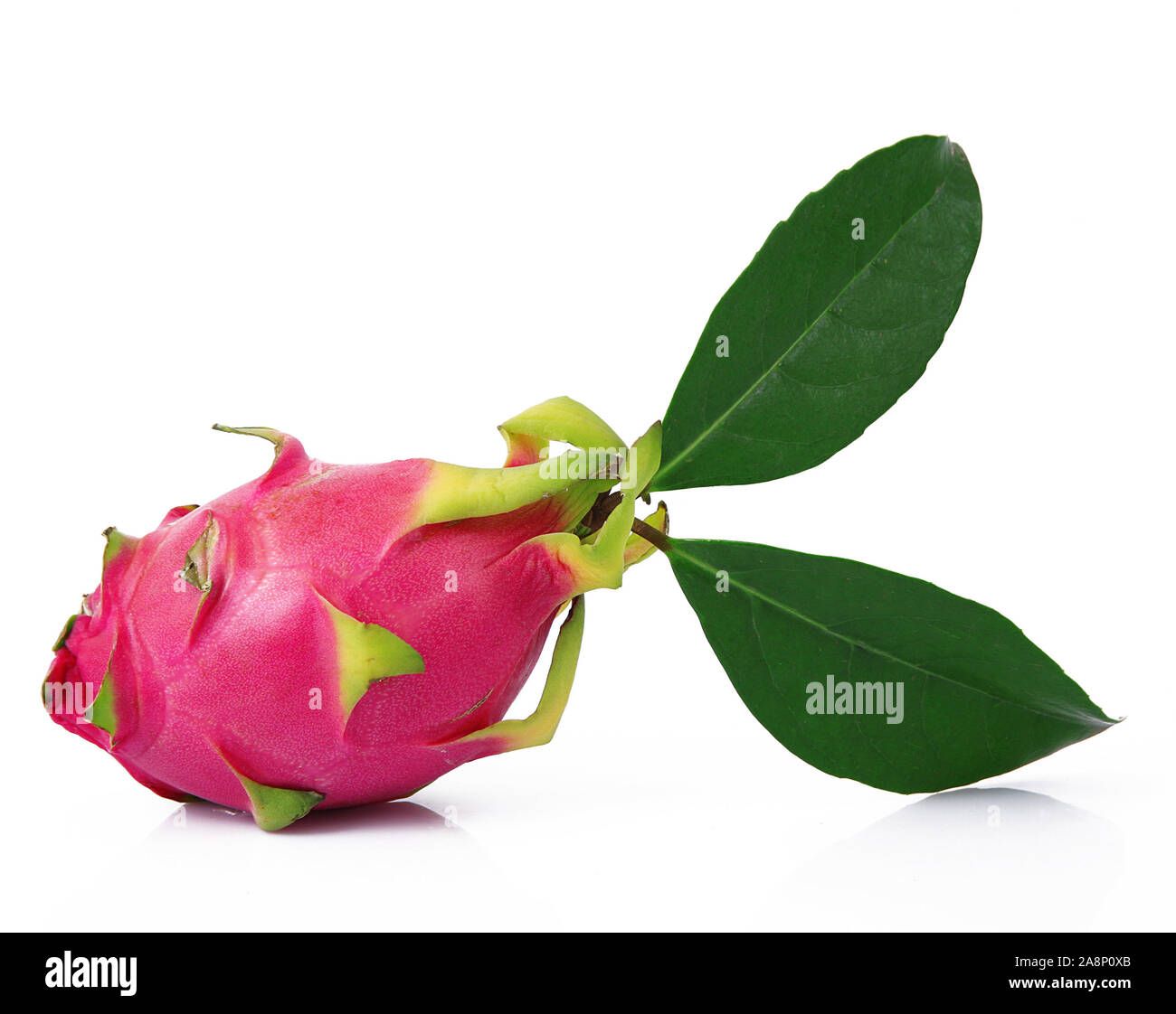 fresh red pitaya on white background Stock Photo - Alamy