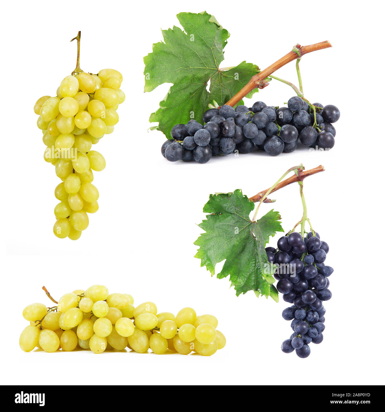 Bunch of grapes collage on white background Stock Photo - Alamy