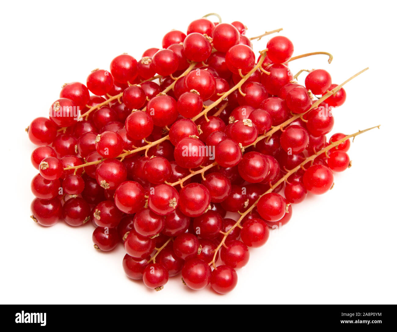 fresh ribes on white background Stock Photo - Alamy