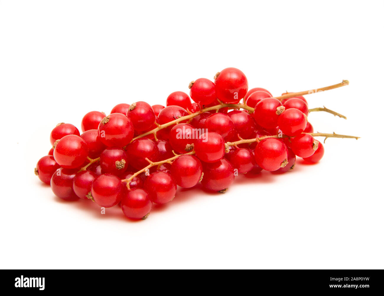 fresh ribes on white background Stock Photo - Alamy