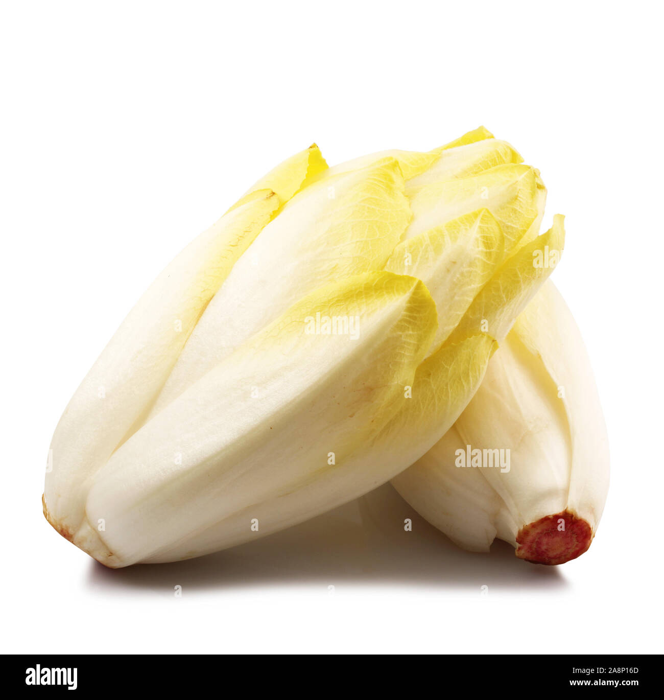 fresh endive salad on white background Stock Photo - Alamy