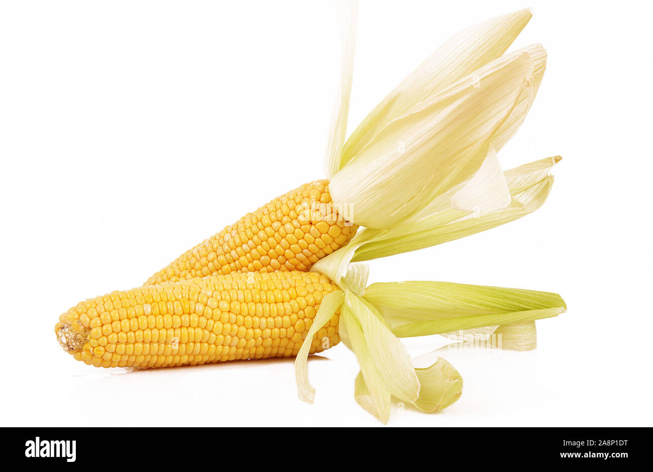 Maïs Cut Out Stock Images & Pictures - Alamy