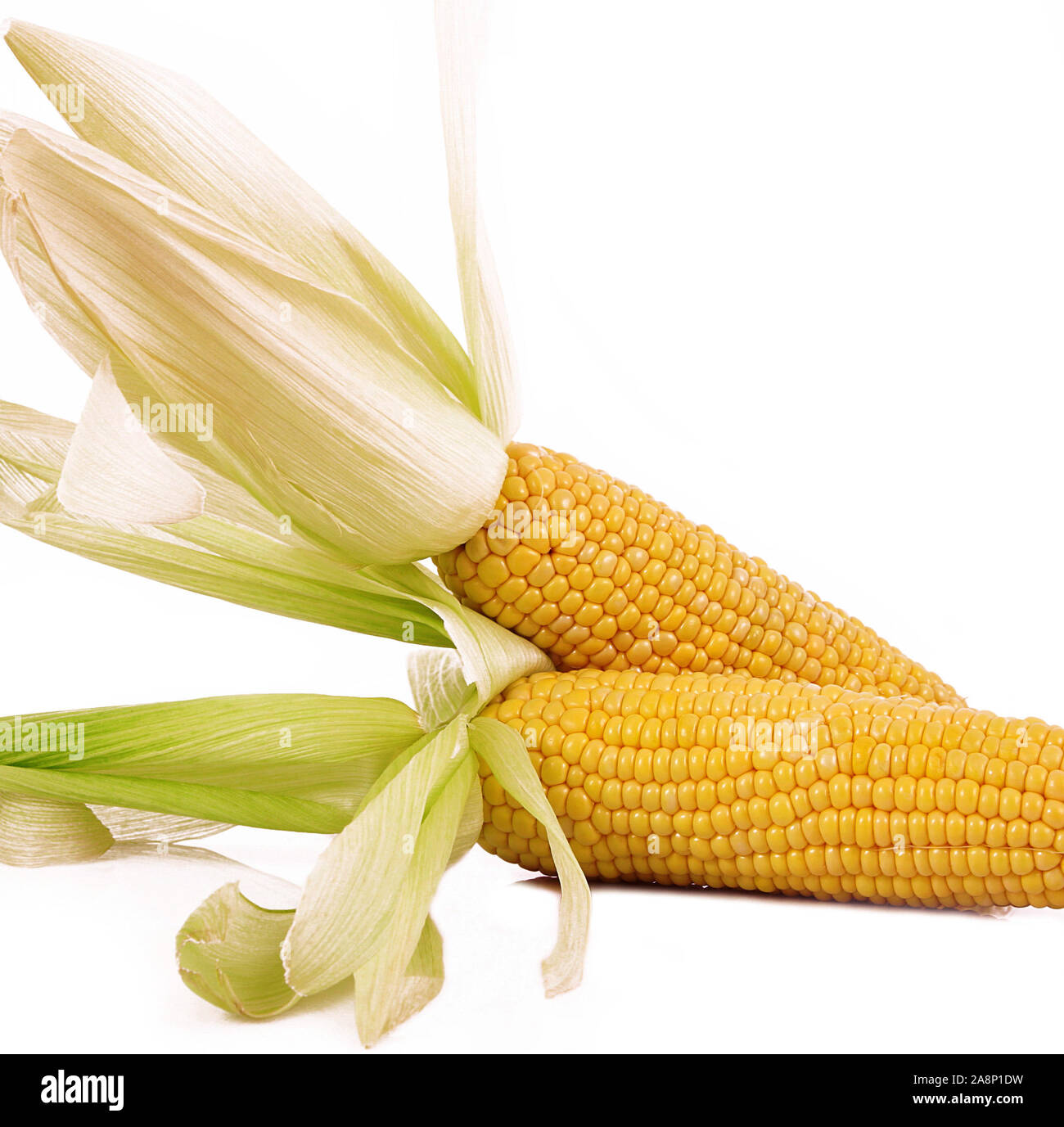 a fresh mais on white background Stock Photo - Alamy