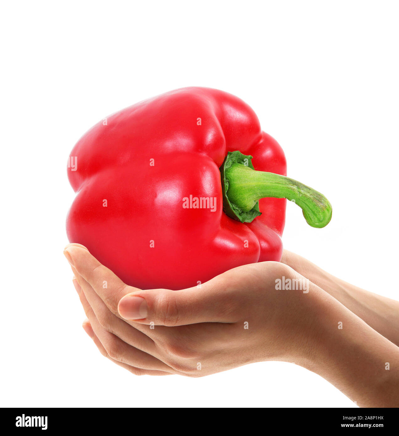 pepper in the hands on white background Stock Photo - Alamy