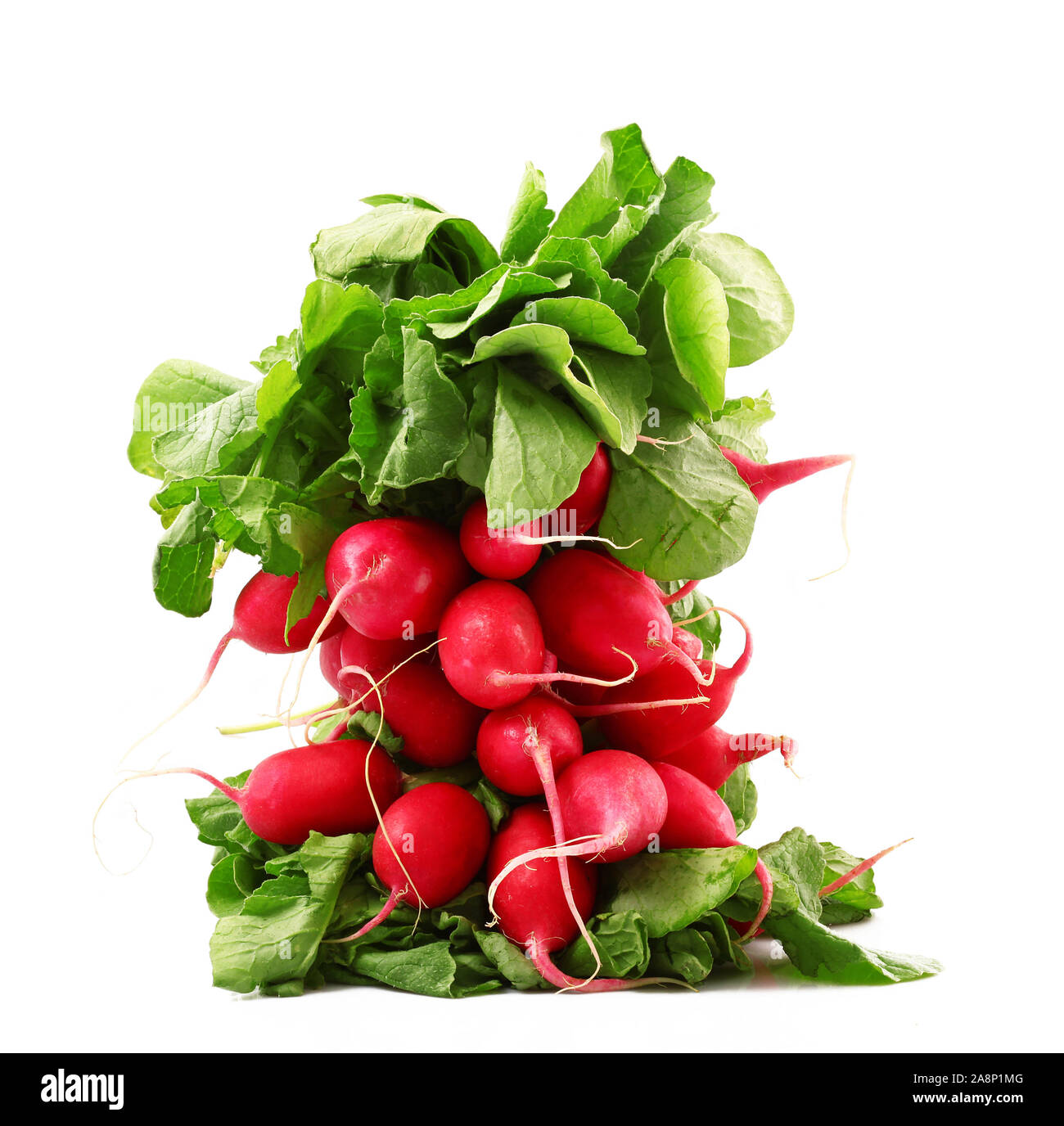 fresh radishes on white background Stock Photo - Alamy