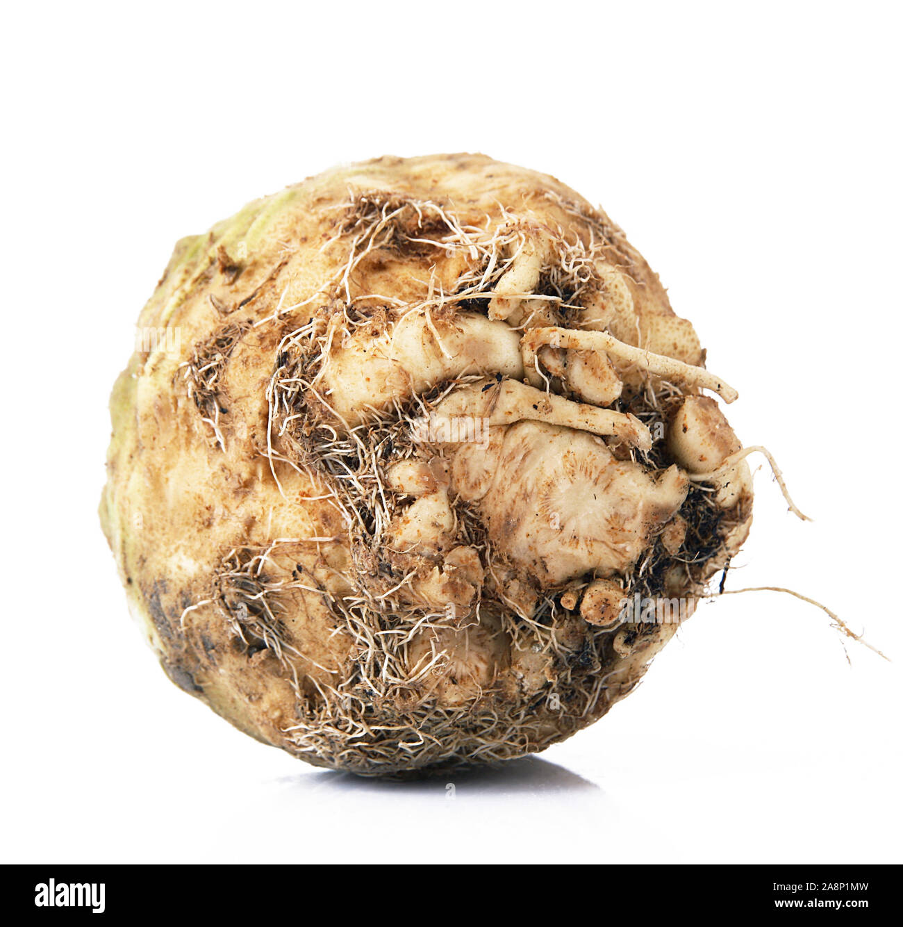 fresh Celery Turnip on white background Stock Photo - Alamy