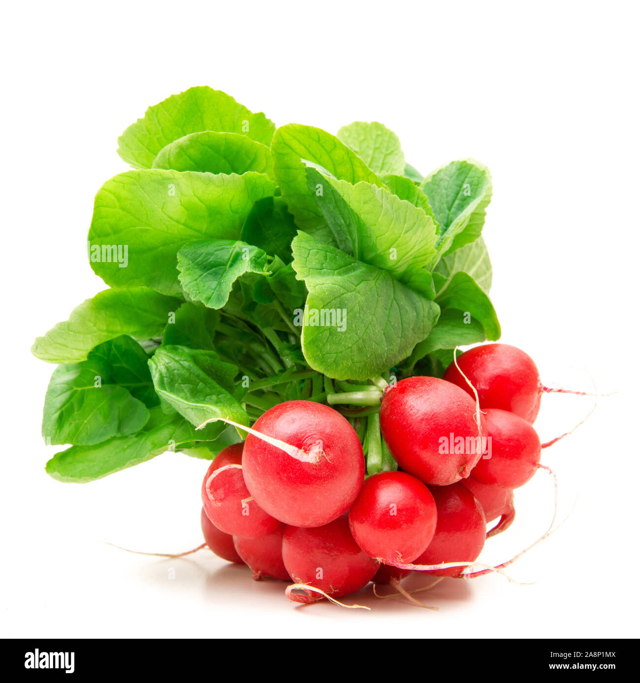 fresh radishes on white background Stock Photo - Alamy