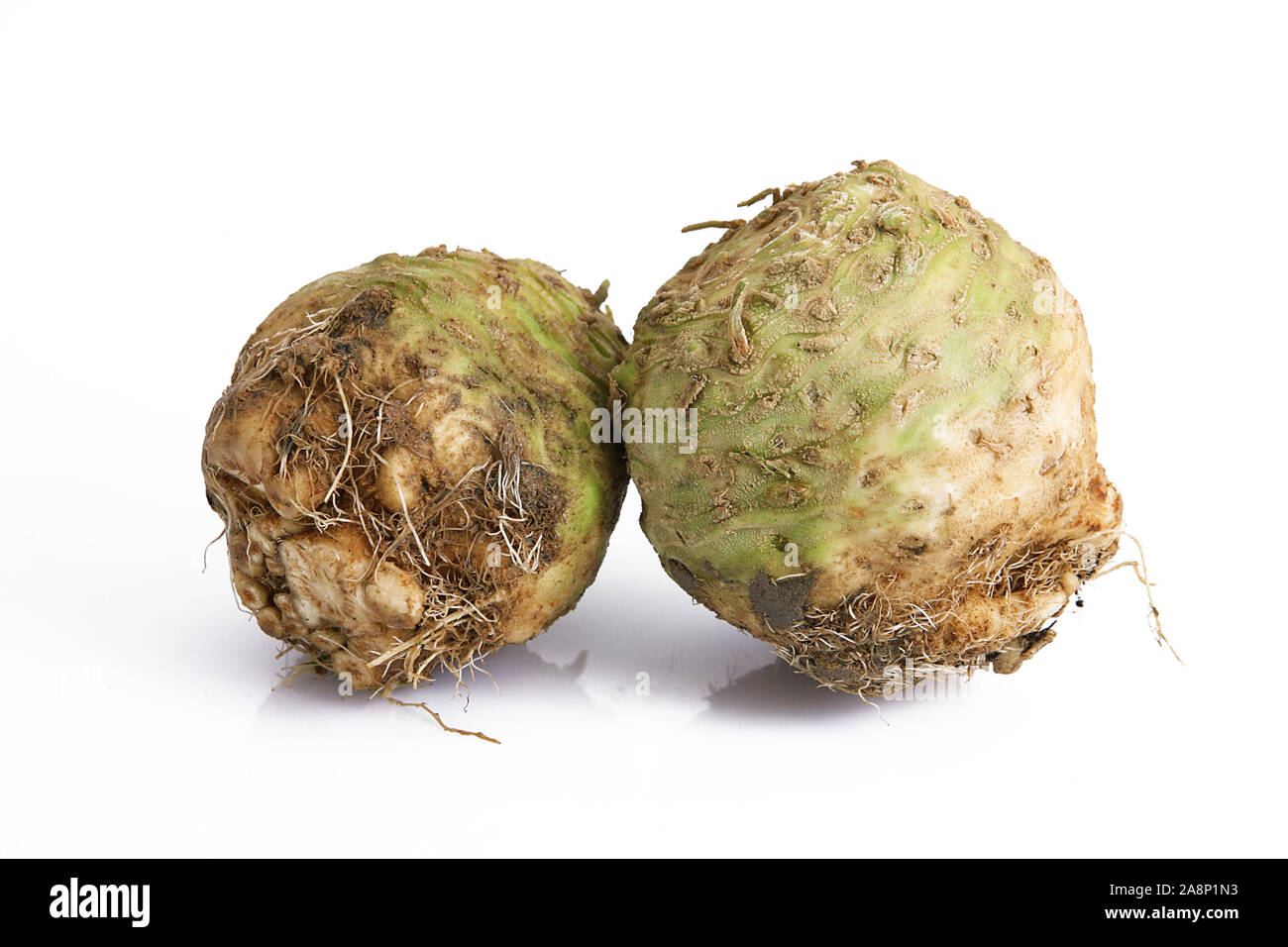 fresh Celery Turnip on white background Stock Photo - Alamy