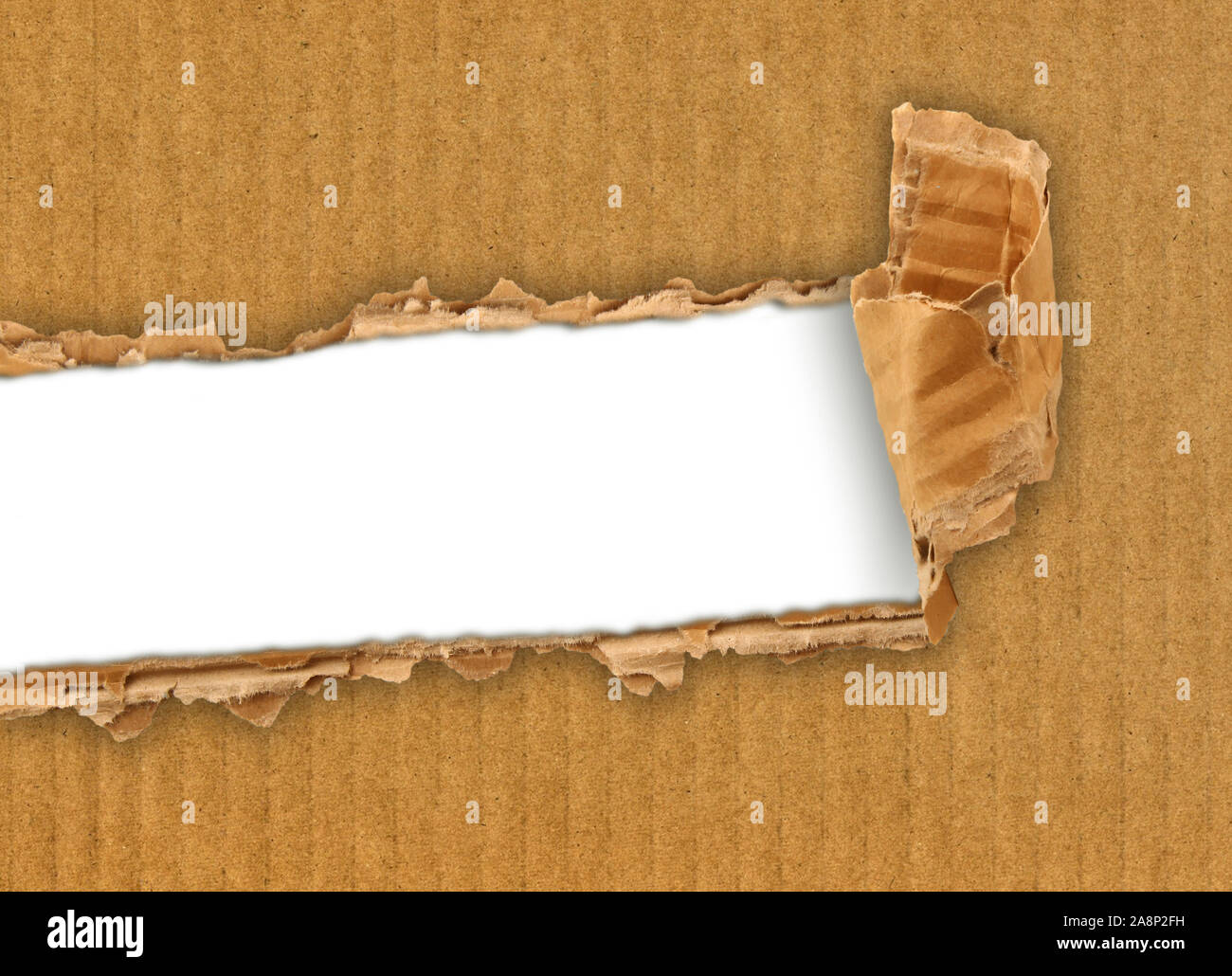 a torn cardboard for writer project Stock Photo - Alamy