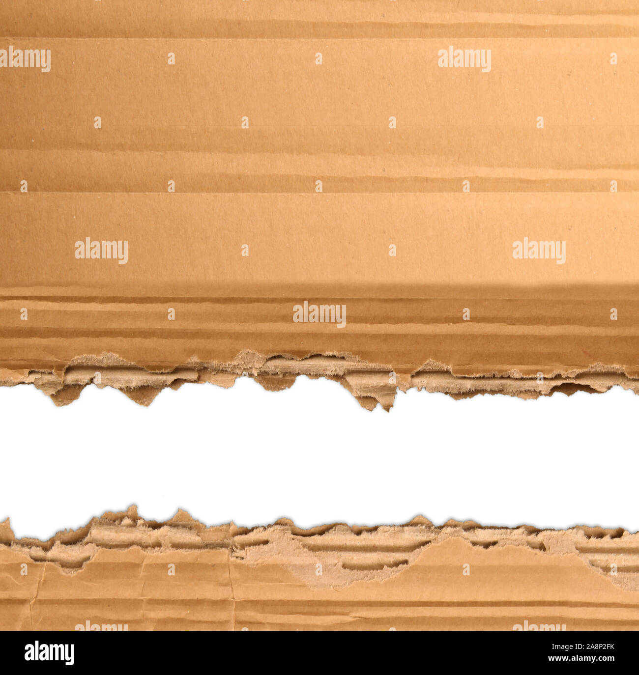 a torn cardboard for writer project Stock Photo - Alamy
