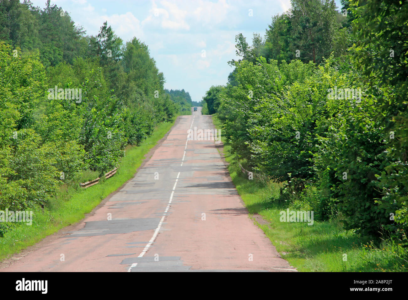 Overgrown highway. Road with dense vegetation on sides. Empty highway ...