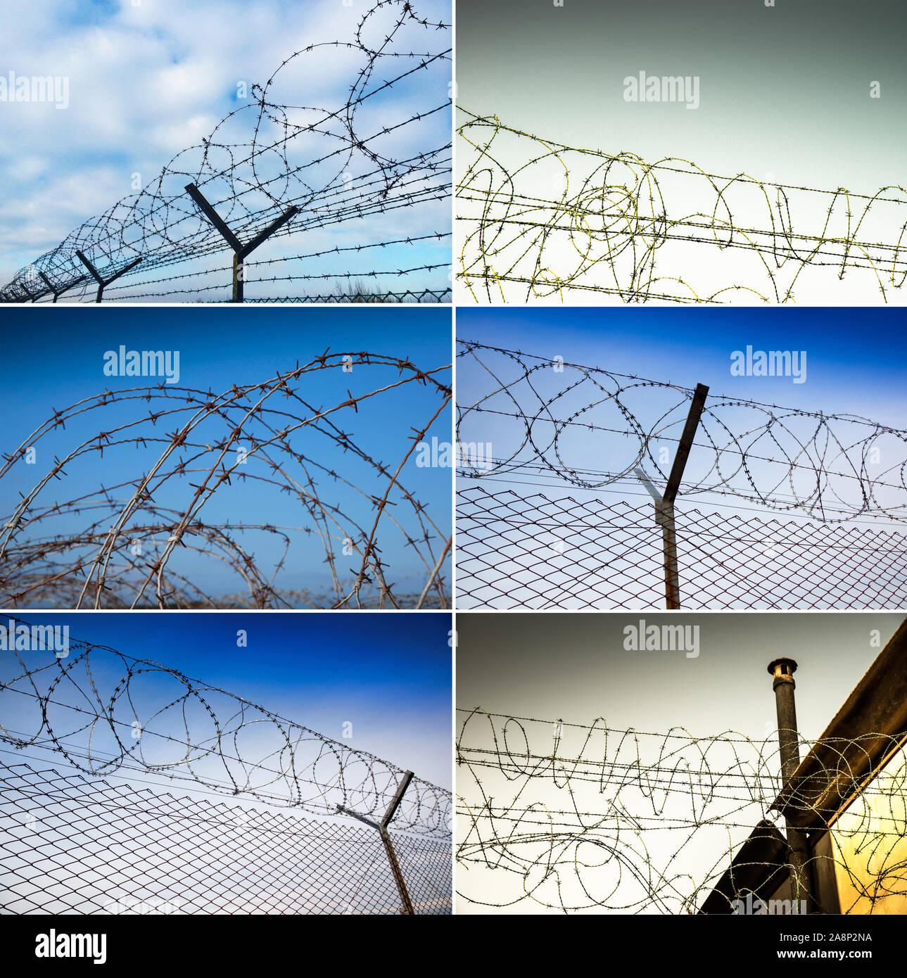 Collage barbed wire hi-res stock photography and images - Alamy