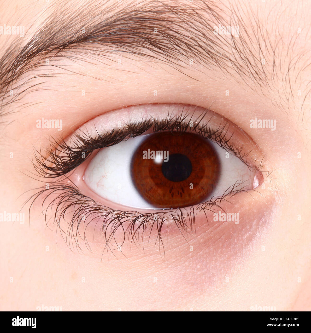 a Human brown eye background Stock Photo - Alamy