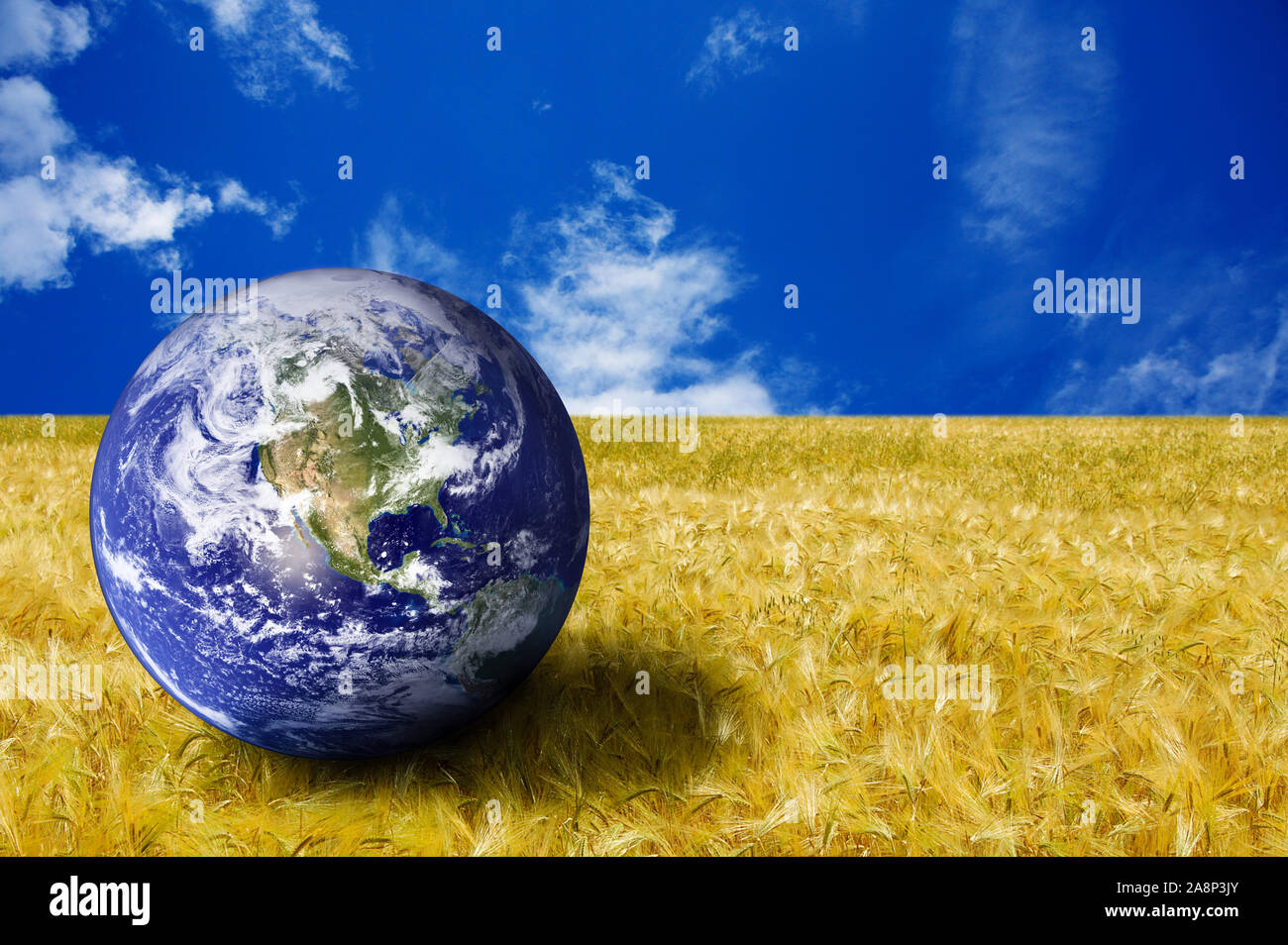 the planet Earth in a yellow field Stock Photo - Alamy