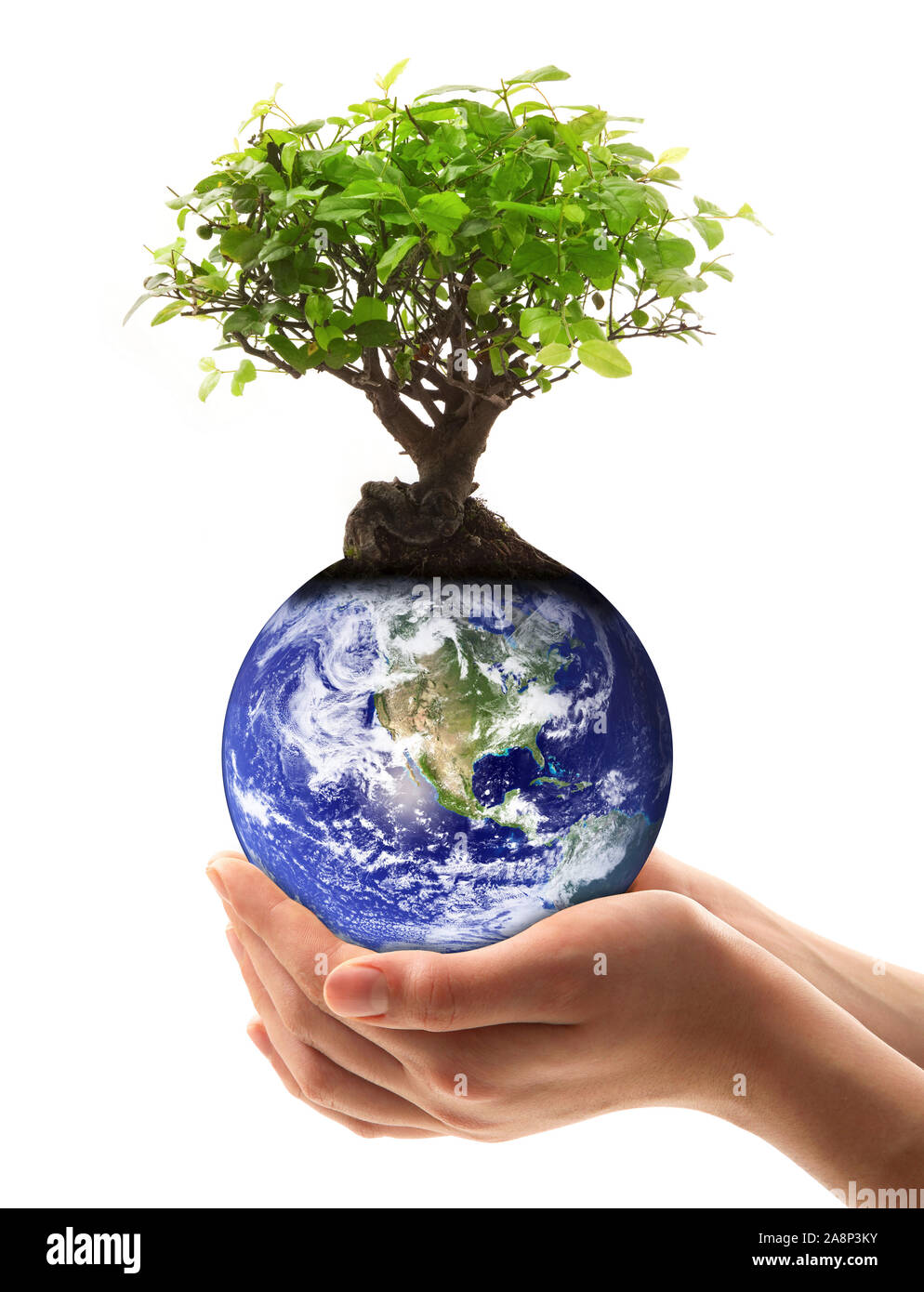 the planet Earth with tree hand-held Stock Photo - Alamy