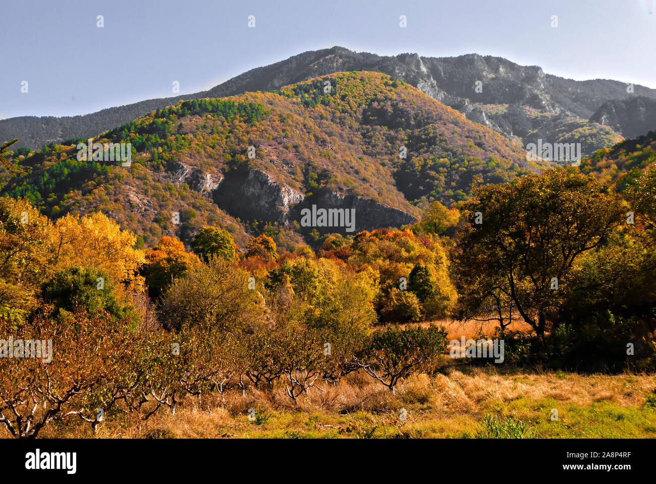 Rhodopes mountain hi-res stock photography and images - Alamy