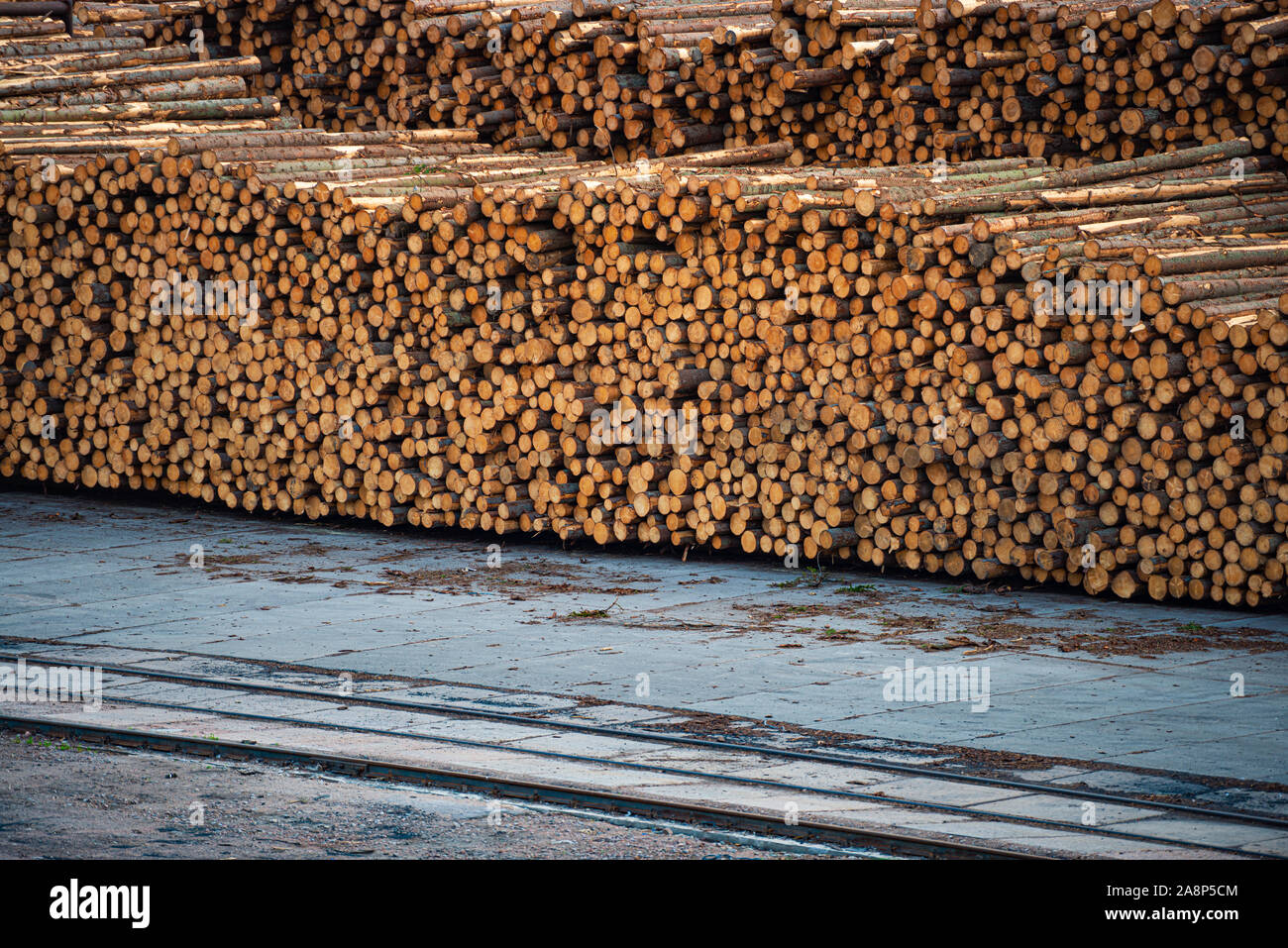 Timber Dry Docks High Resolution Stock Photography and Images - Alamy