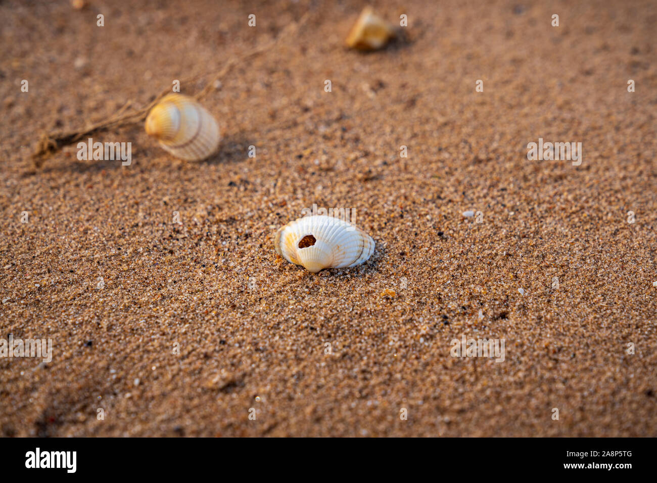 Wash uk united kingdom great britain europe england hi-res stock ...