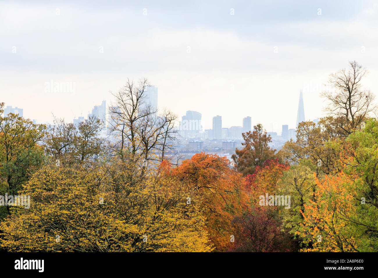A view of the misty London skyline, through trees with autumn foliage ...