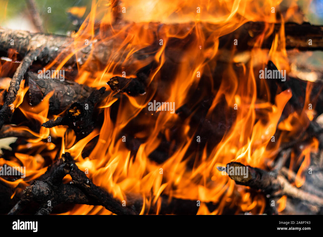 Camp smoke hi-res stock photography and images - Alamy