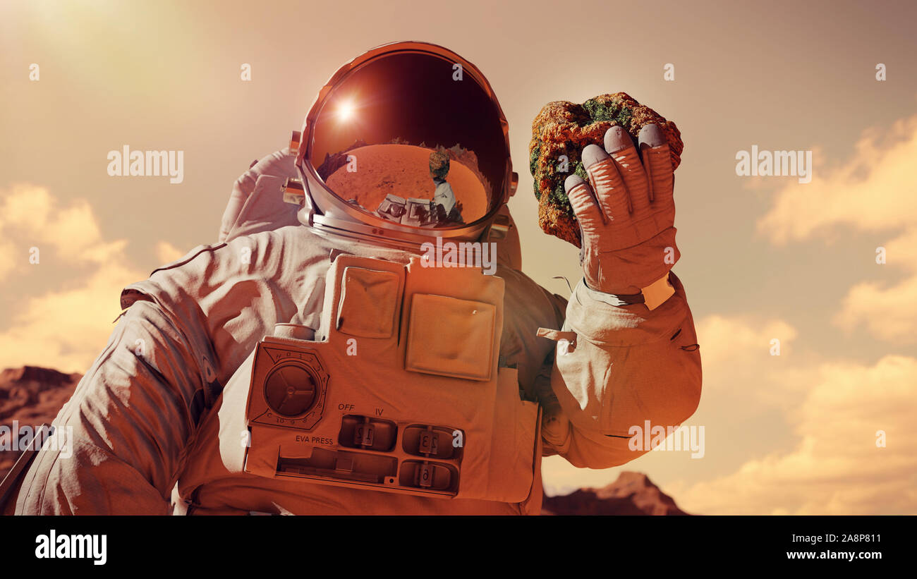 life on planet Mars, astronaut discovers bacterial life on the surface ...