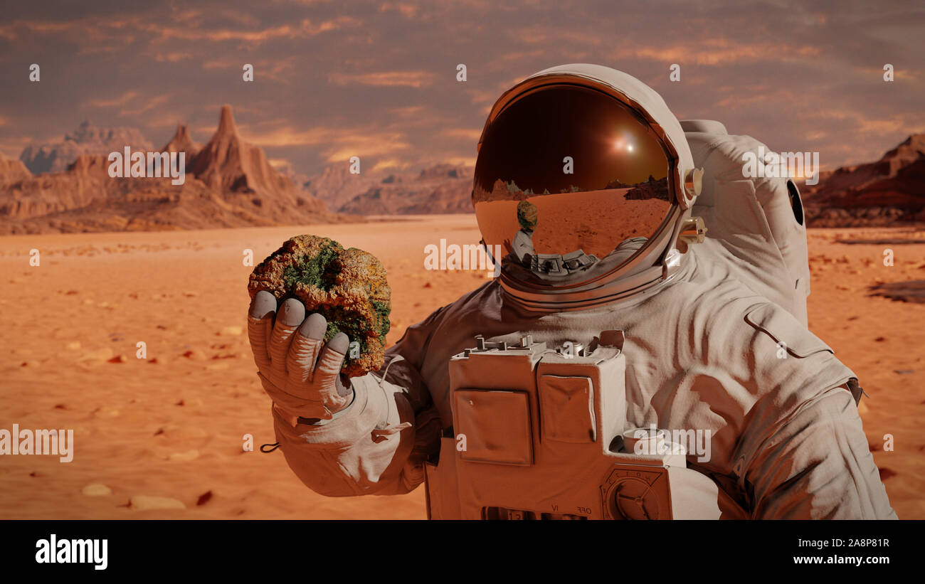 life on planet Mars, astronaut discovers bacterial life on the surface ...