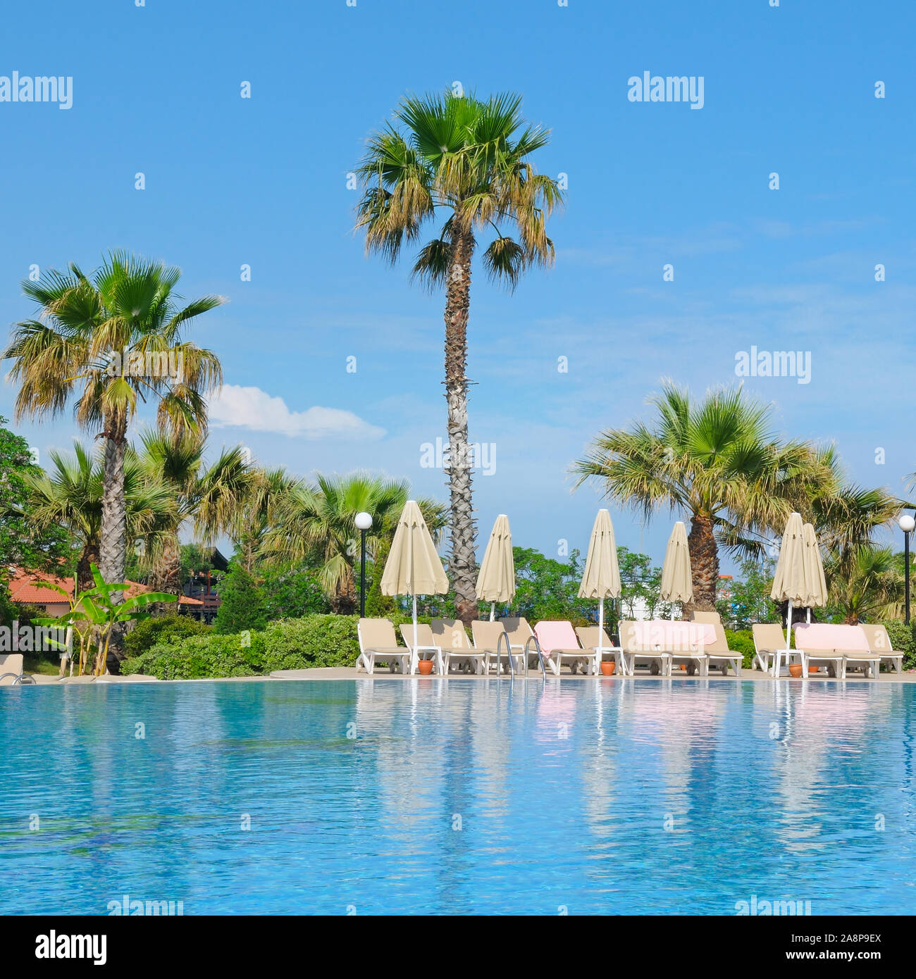 outdoor swimming pool, palm trees and a cozy area for sunbathing Stock ...