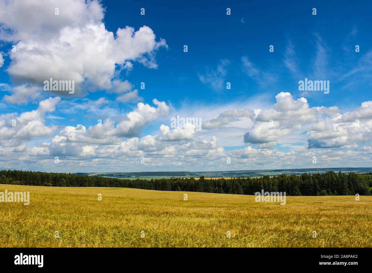Landscape with a view of the endless fields and the sky with clouds ...