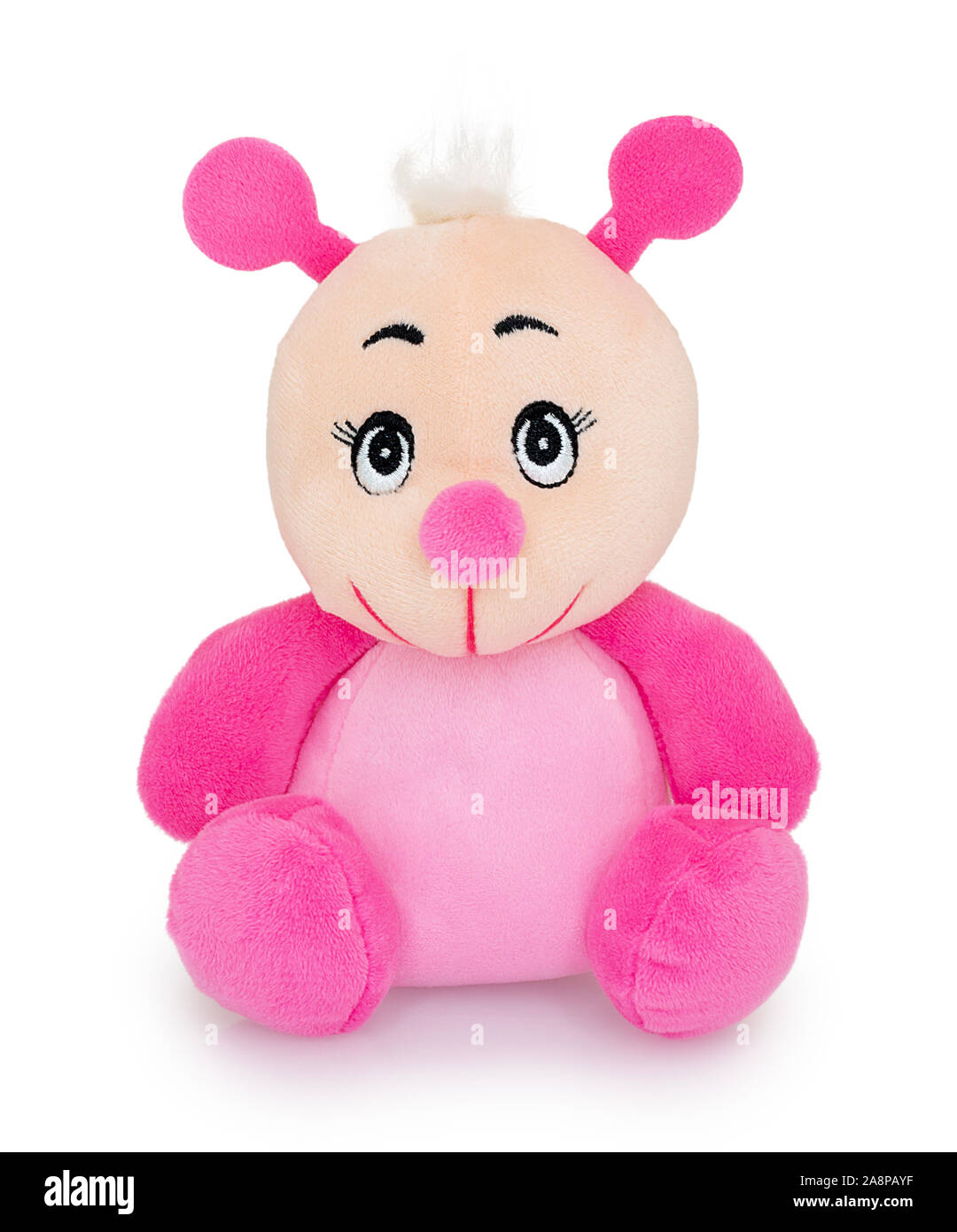 Cute stuffed honey bee plush toy. Plushie doll isolated on white ...