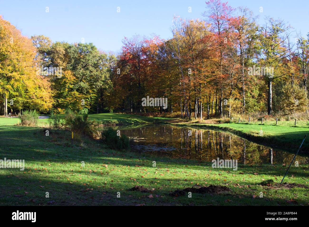Autumn fall landscape scenery in the park with lake Stock Photo - Alamy