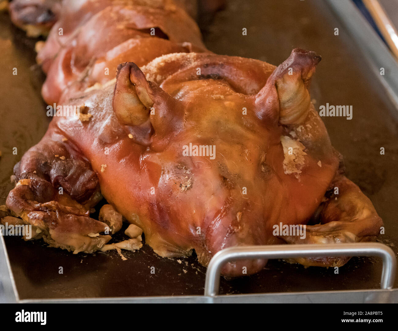 Roasted whole suckling pig hi-res stock photography and images - Alamy