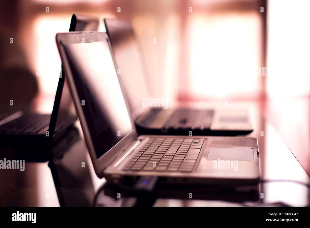 Laptops on the table. People, internet and technology concept Stock ...