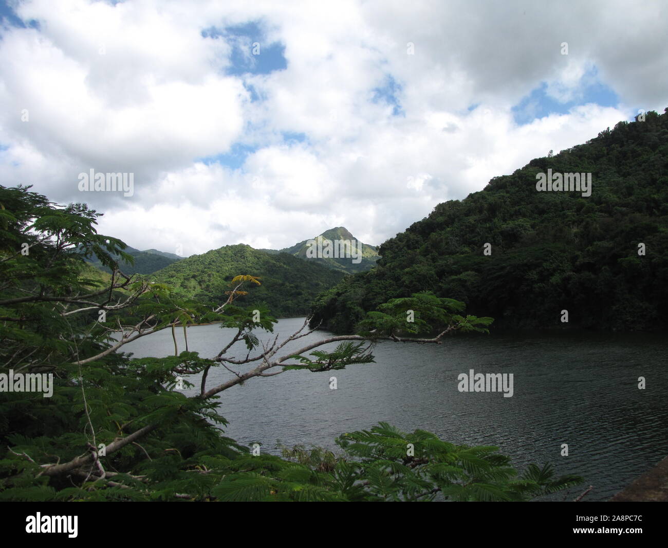 Lucchetti Lake in Yauco, Puerto Rico Stock Photo - Alamy