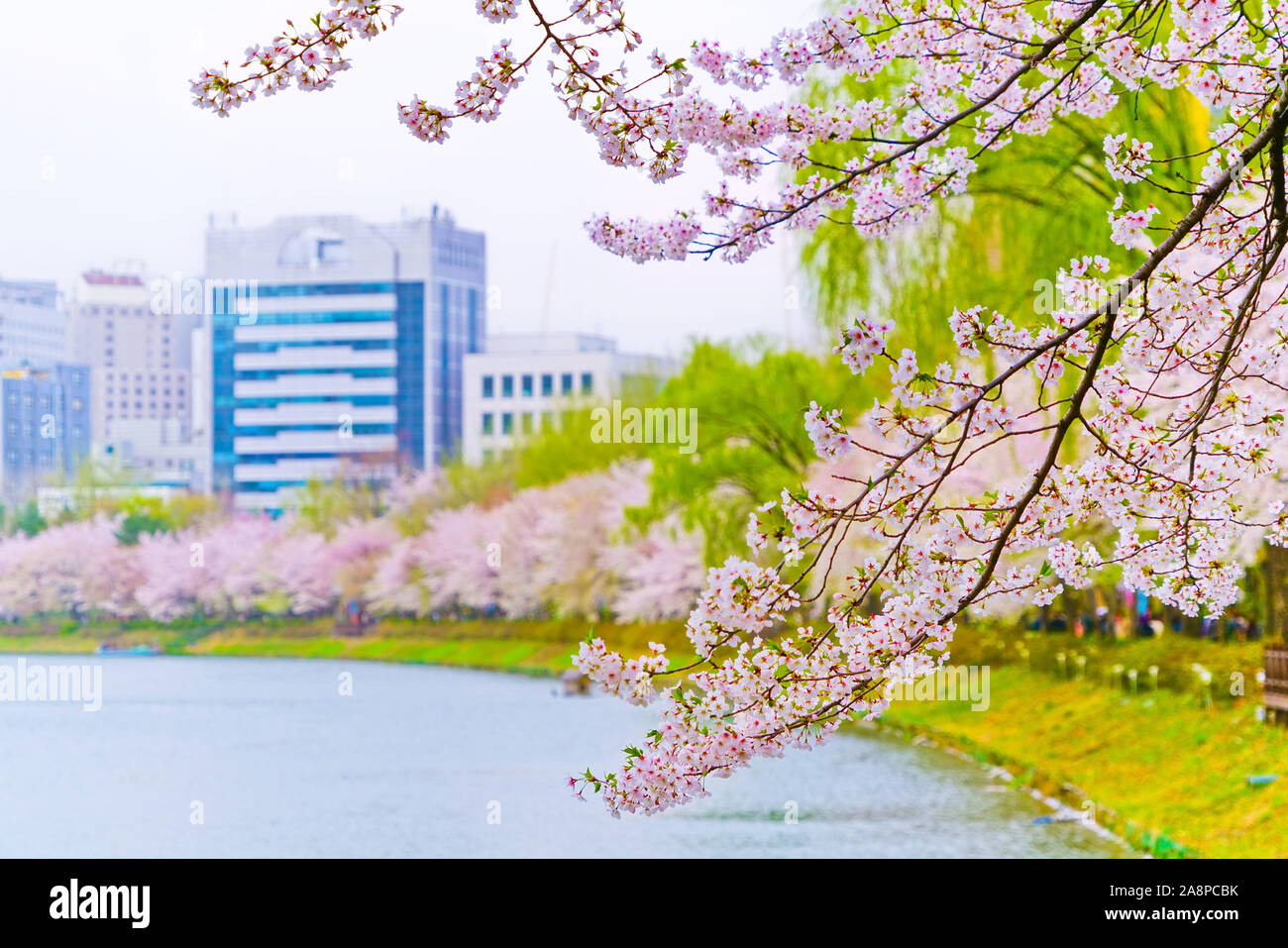 View seoul tower in spring hi-res stock photography and images - Alamy