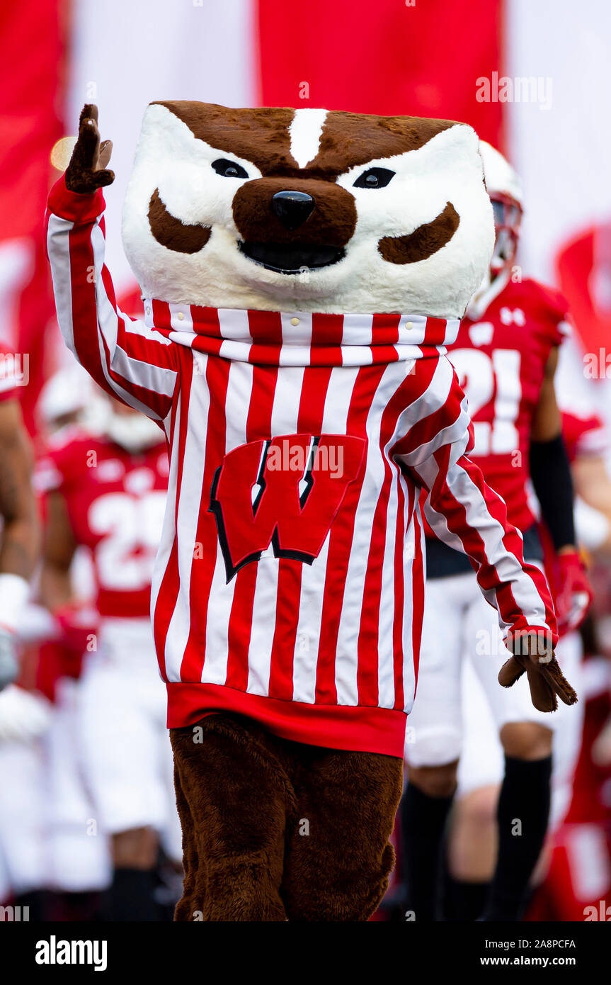 Bucky Badger Football