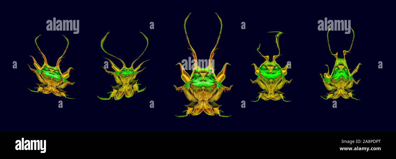 Five fantasy alien troll characters created of rose macros on blue ...