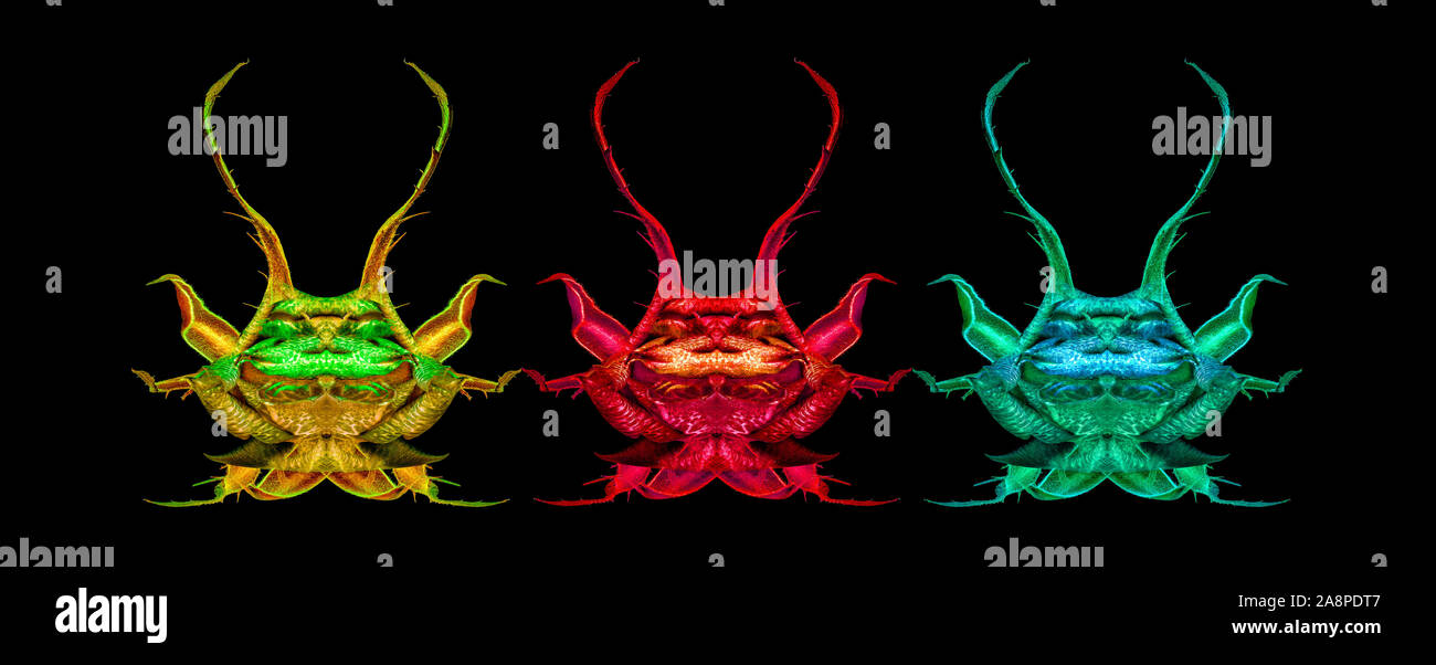 Three colorful fantasy alien troll characters created of rose macros on ...