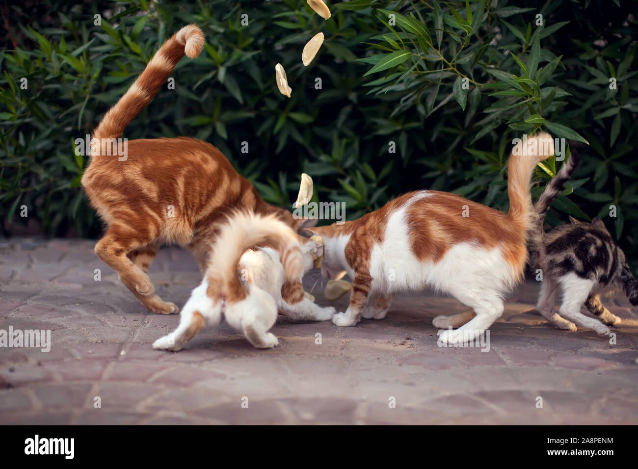Homeless children food hi-res stock photography and images - Alamy