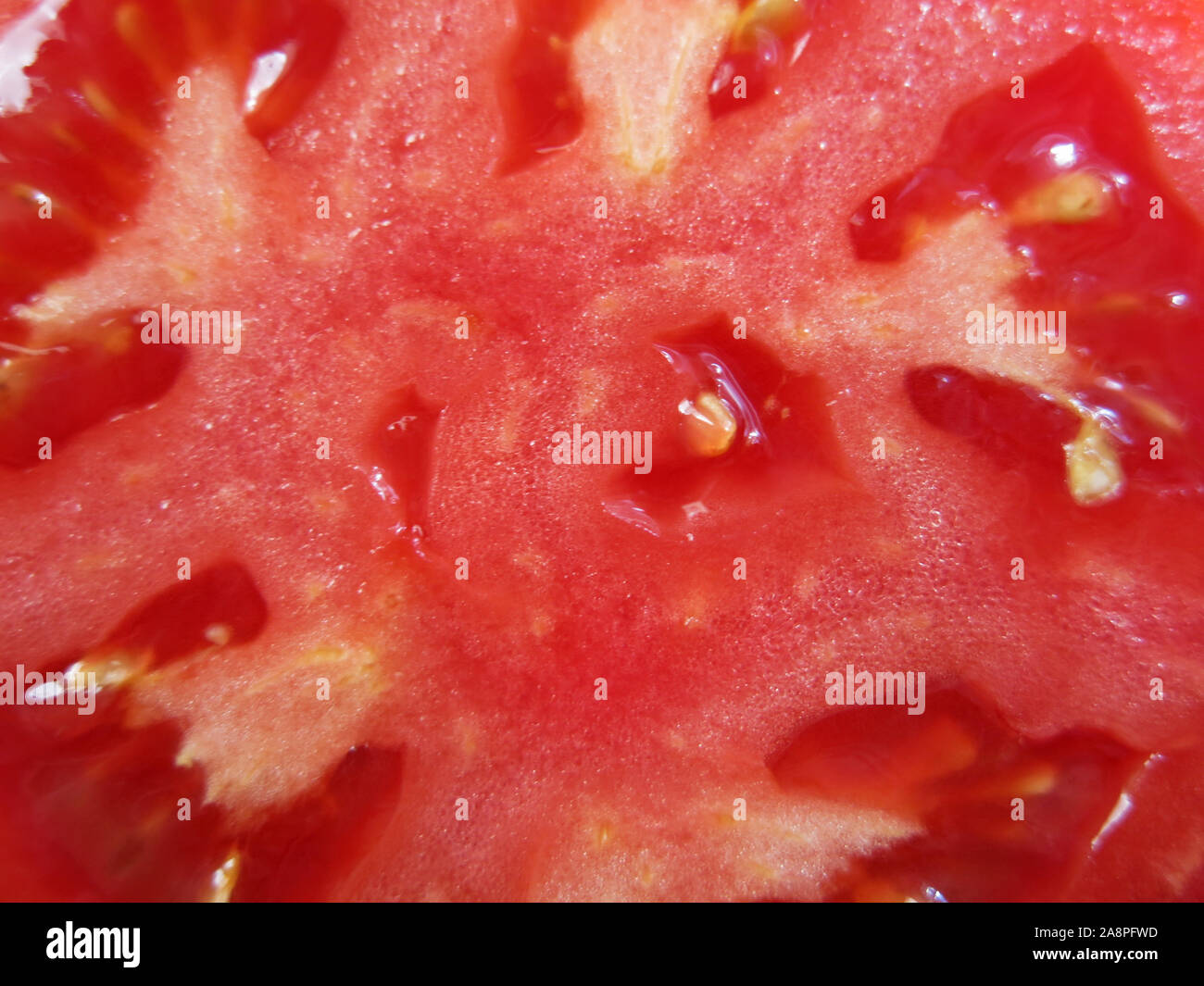 Tomato ovary hi-res stock photography and images - Alamy