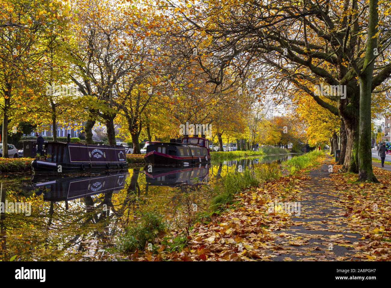 Canal barges on Grand Canal Dublin Ireland during Autumn / Fall ...